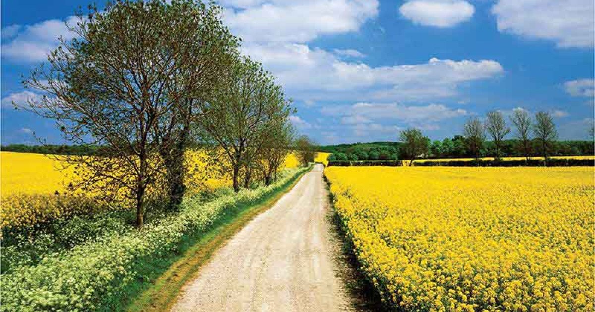 Návrh kalendárov na mieru je už bežnou realitou | Dennikrelax.sk ...