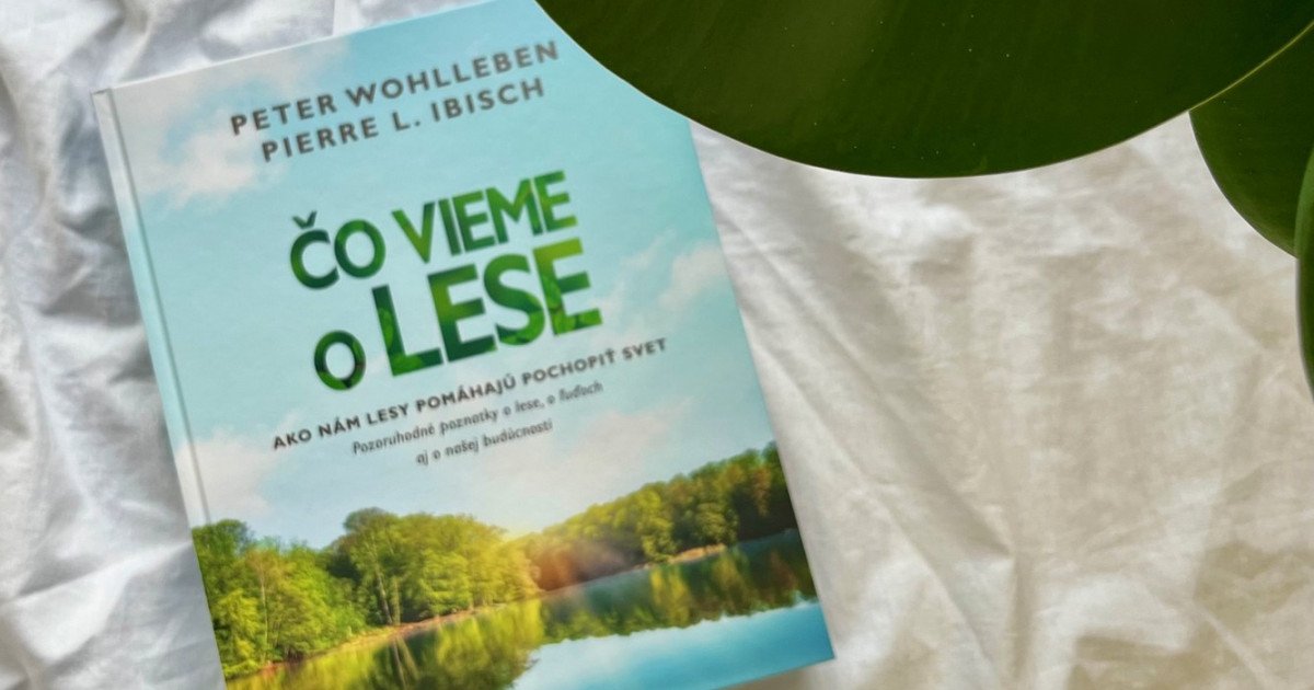 Zaujímavosti o lese, ľuďoch aj našej budúcnosti. Čo vieme o lese ...